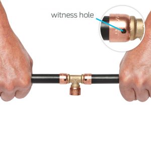 Auspex Water Installation – Auspex